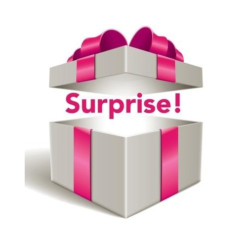 Überraschungs-Geschenk